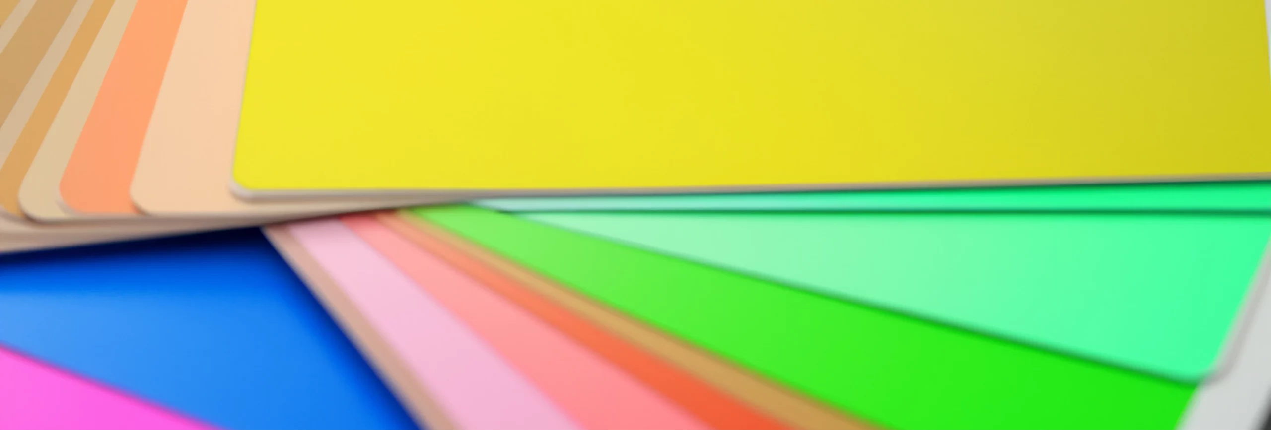 Spring into Style: Exploring Vibrant Color Palettes for 2025 | The ...